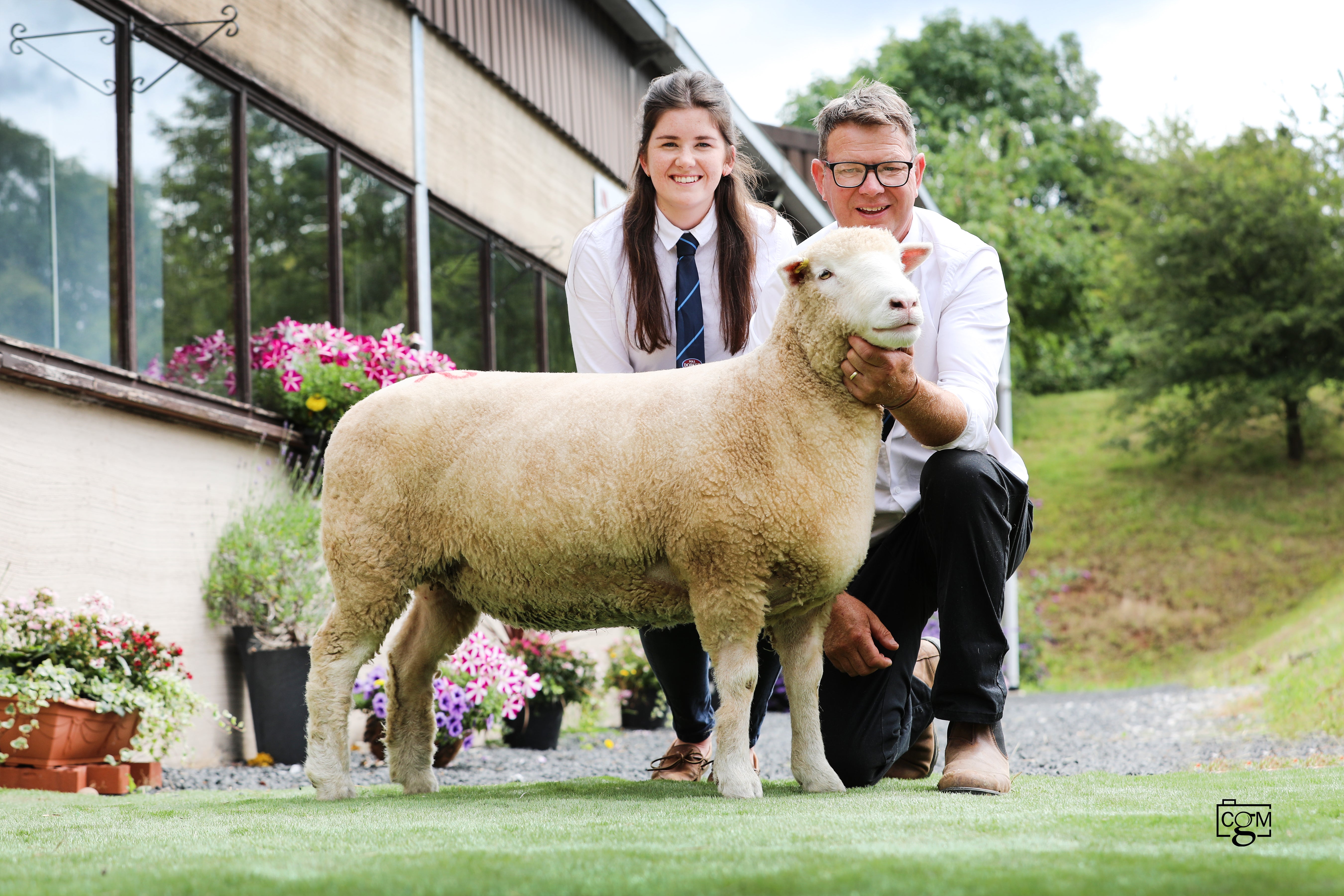 Worcester Show 2024 Results – DORSET HORN AND POLL SHEEP