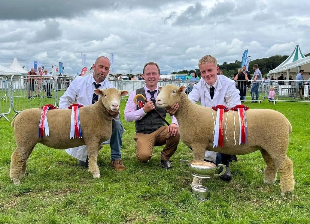 Royal Lancashire Show 2024 – DORSET HORN AND POLL SHEEP