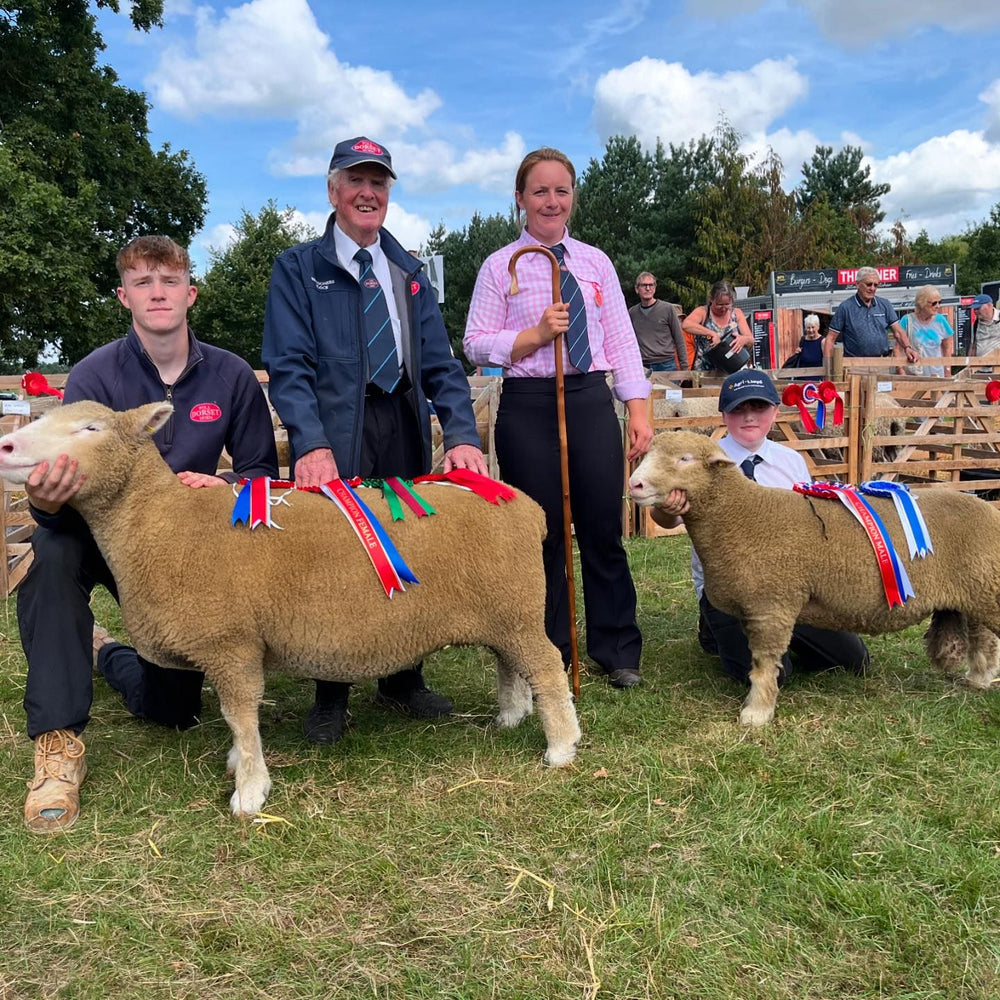 Dorset Horn and Poll Dorset Sheep Breeder's Association – DORSET HORN ...