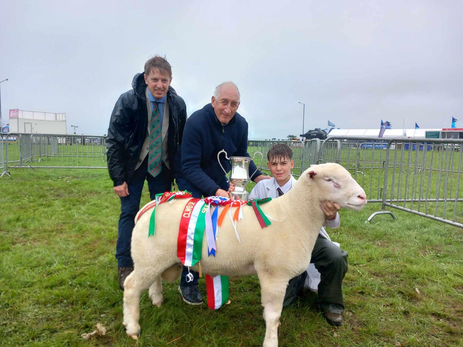 Welsh Club National Show at Pembrokeshire County Show – DORSET HORN AND ...