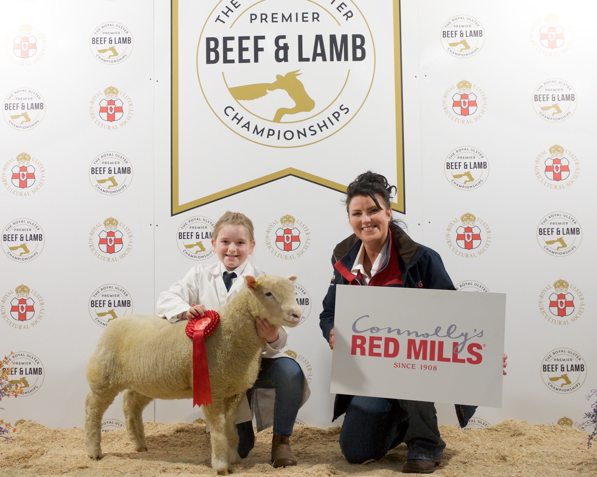 Royal Ulster Premier Beef & Lamb Show 2025 – DORSET HORN AND POLL SHEEP