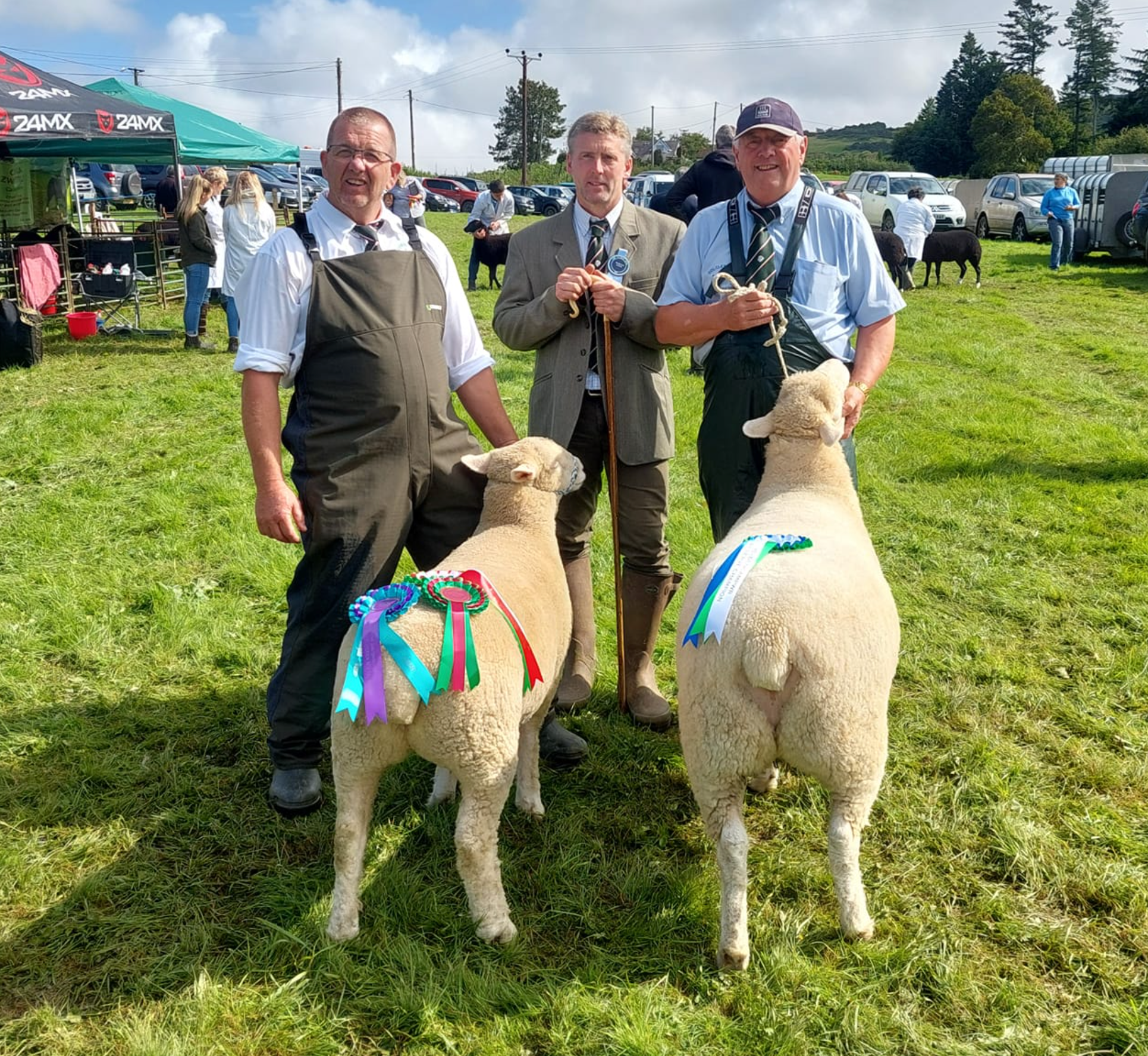 Sioe Talybont Show 2024 – DORSET HORN AND POLL SHEEP