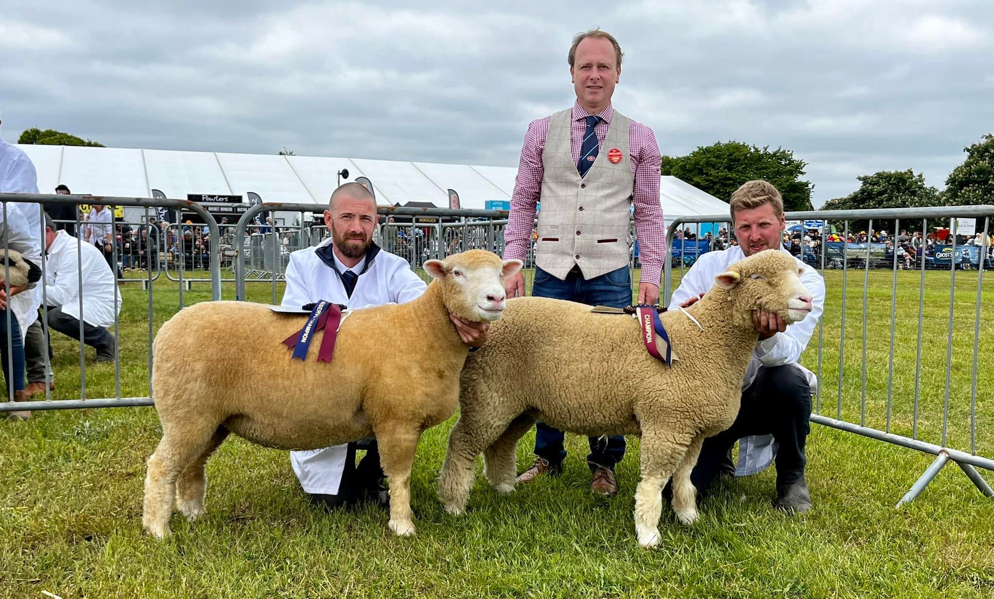 Dorset Horn and Poll Dorset Sheep Breeder's Association – DORSET HORN ...