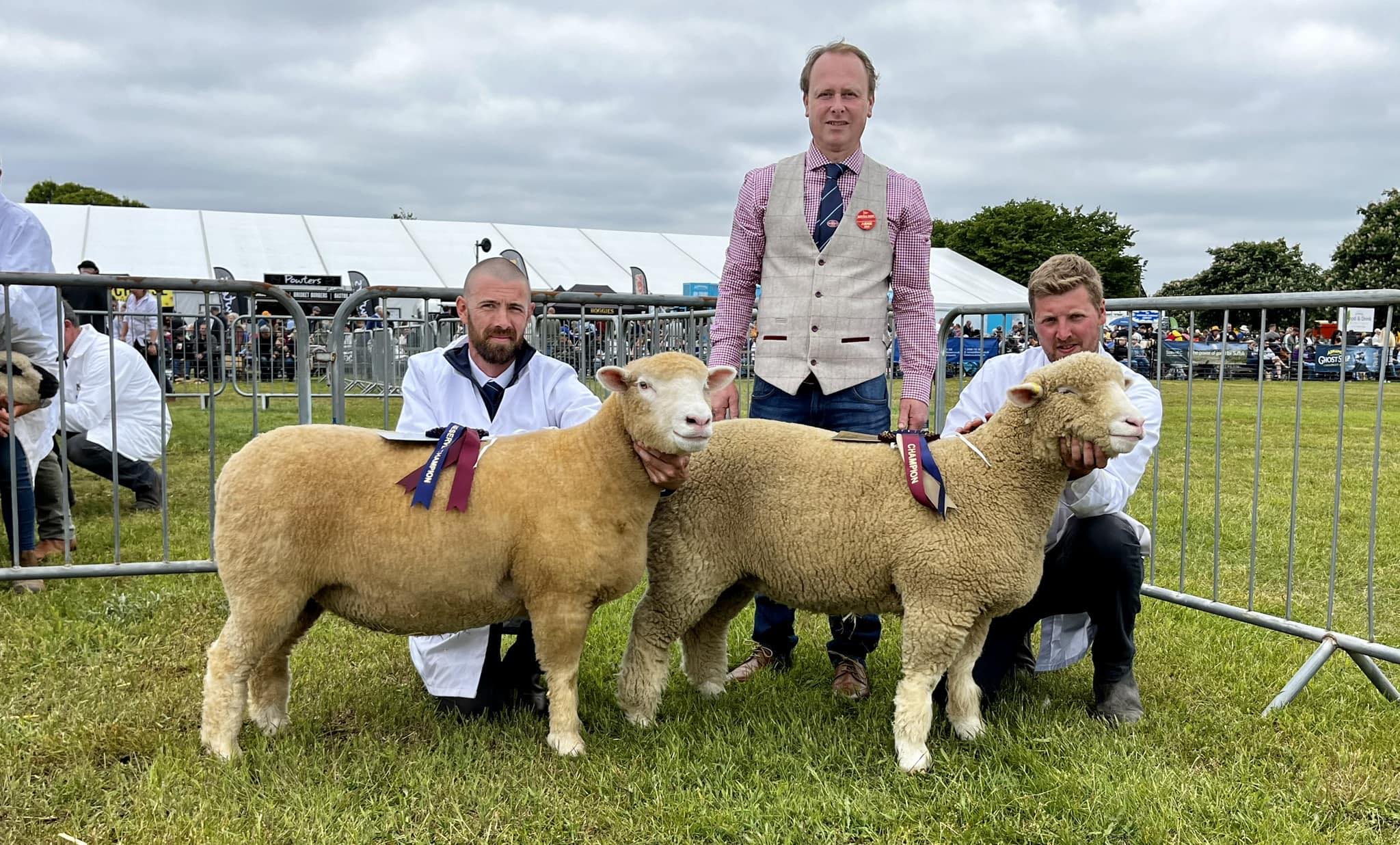 Dorset Horn and Poll Dorset Sheep Breeder's Association – DORSET HORN ...