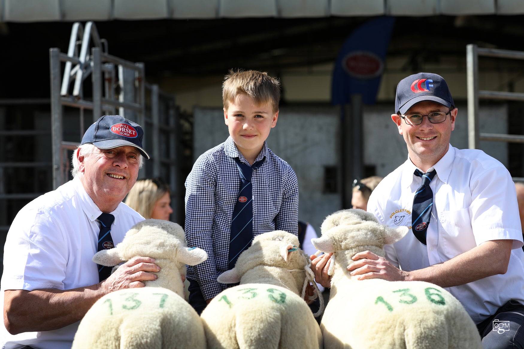 Dorset Horn and Poll Dorset Sheep Breeder's Association – DORSET HORN ...