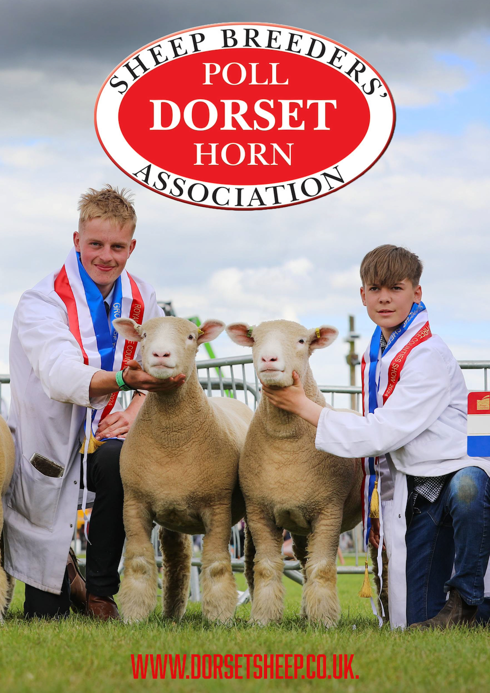 Dorset Horn and Poll Dorset Sheep Breeder's Association – DORSET HORN ...