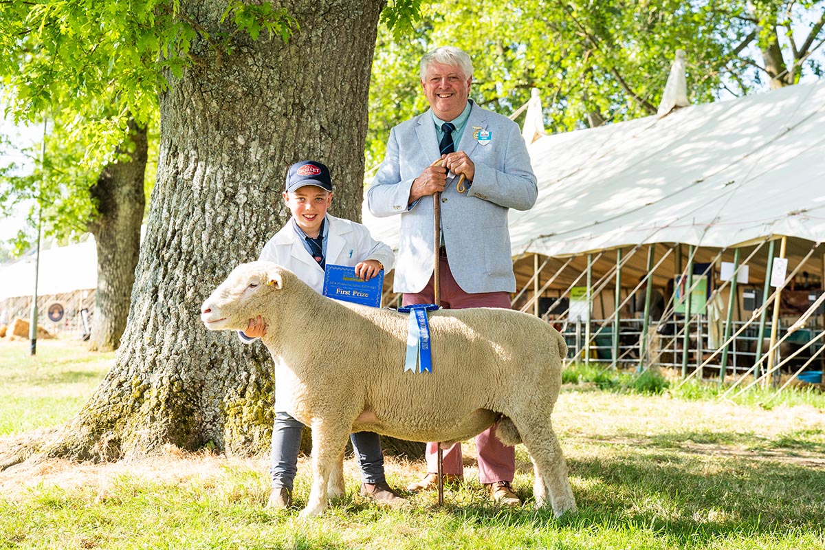 Dorset Horn and Poll Dorset Sheep Breeder's Association – DORSET HORN ...